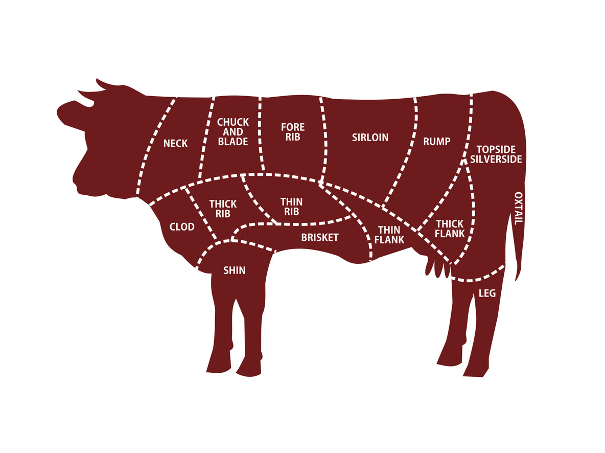 Cuáles son las partes de la vaca y sus cortes | Zurita